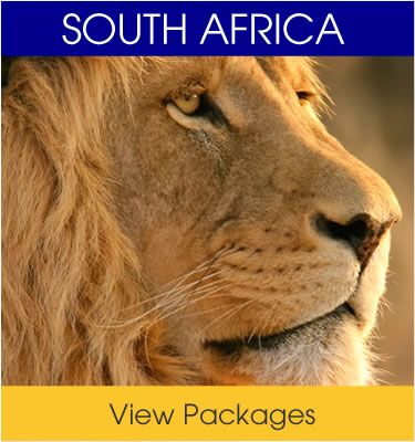 Mount Zion Tours and Travels